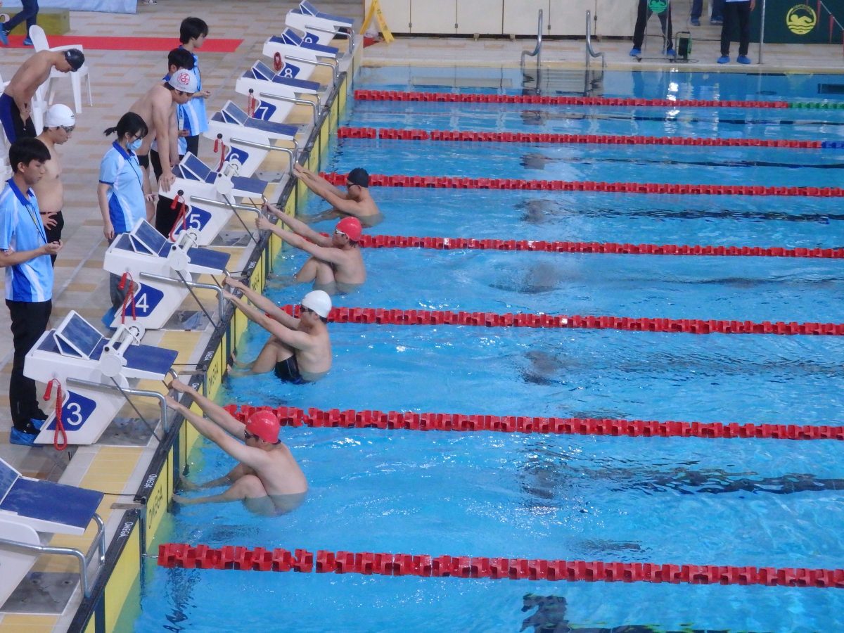 【Sports Teams】UM Swimming Team won 16 Golds, 10 Silvers, 7 Bronzes and broke 3 records at “2024 ...